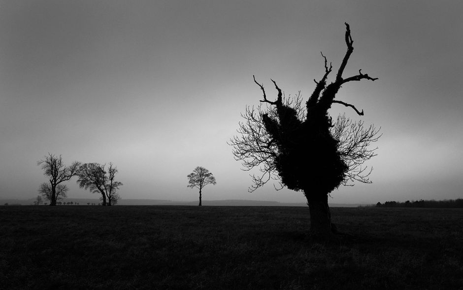 Roger Deakins, Masterful Cinematography– Fellow Streamer